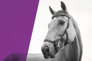 Alvedia | Veterinary Diagnostic Company