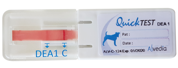 Quick Test BT : Canine | Alvedia