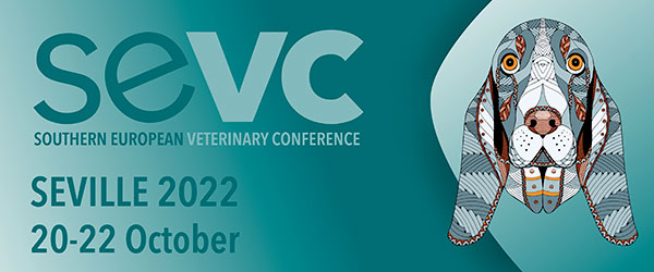 News & events | Alvedia