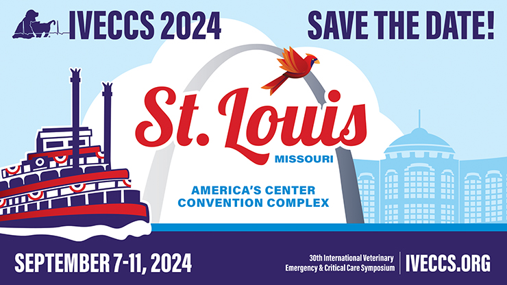 News & events | Alvedia